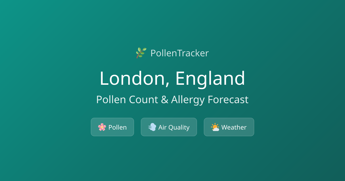 London Pollen Count & Hayfever Forecast Today (Free, Live)